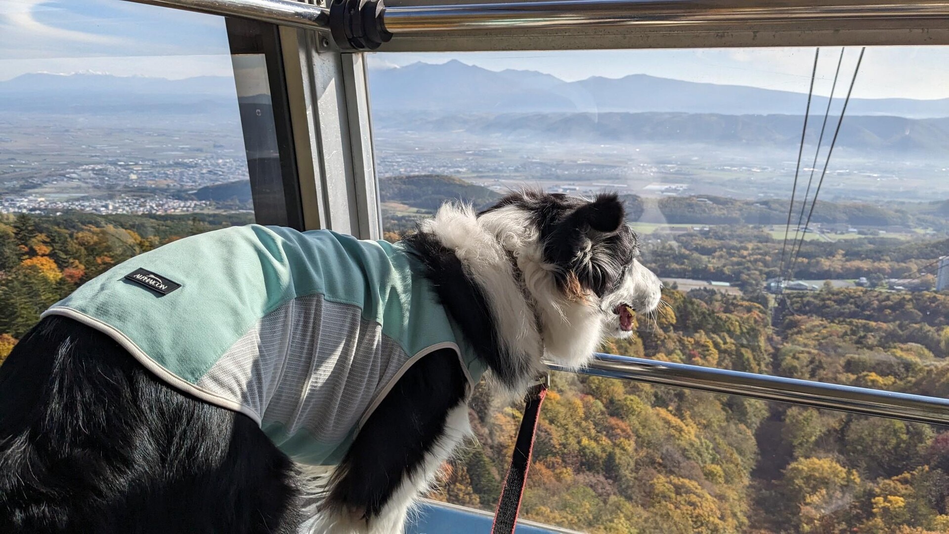 北ノ峰・富良野西岳 / zero_bcさんの富良野西岳の活動データ | YAMAP / ヤマップ