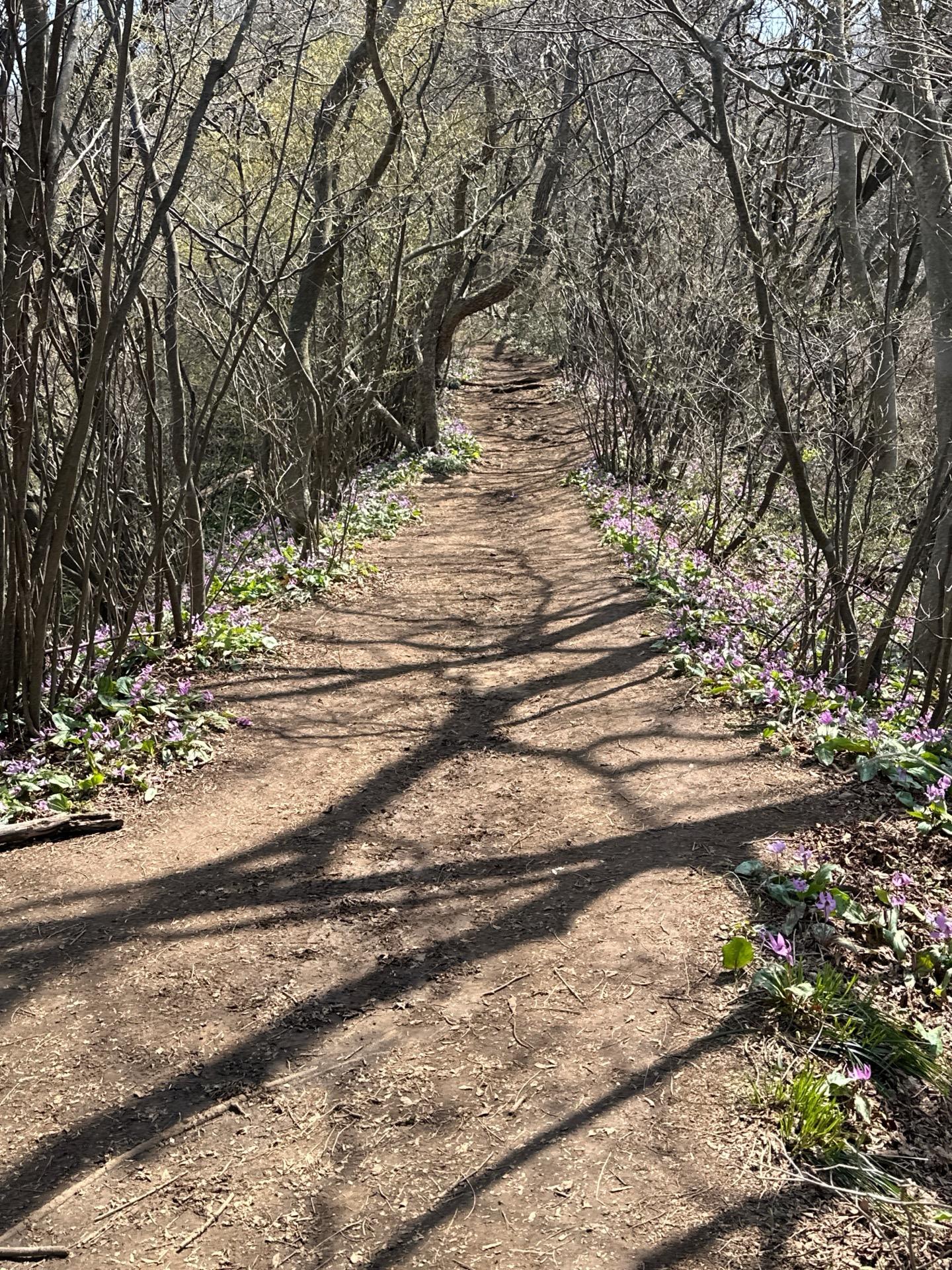 角田山（長者原山） / moda -suさんの角田山の活動データ | YAMAP / ヤマップ