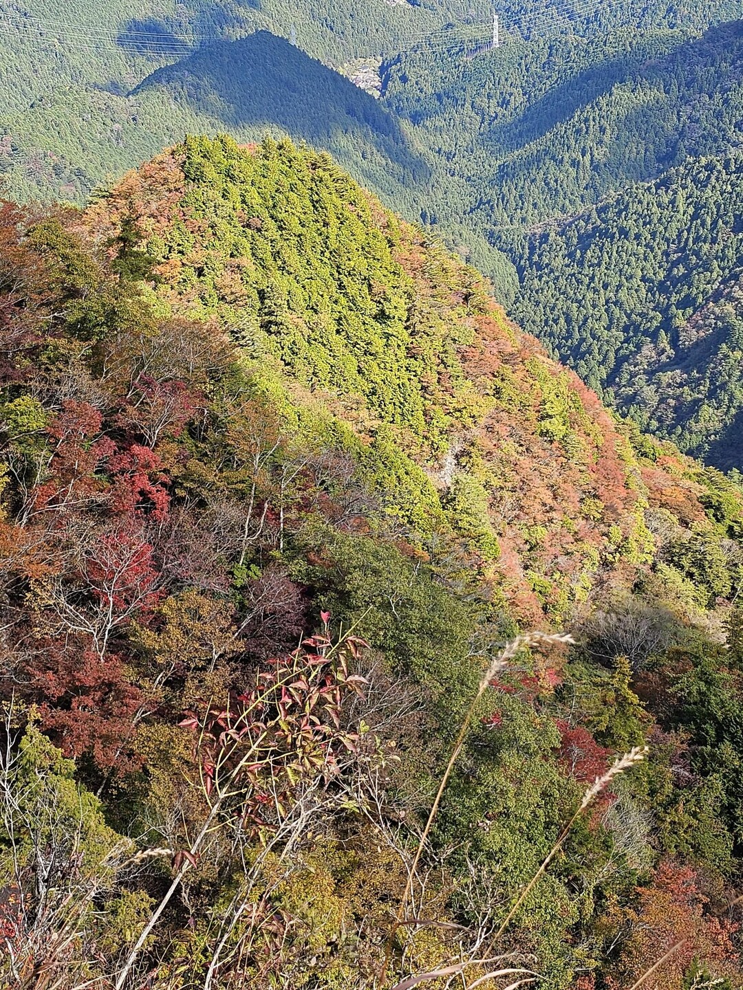 いつもの明神山 / 明神一筋さんの明神山（三ツ瀬明神山）の活動データ | YAMAP / ヤマップ