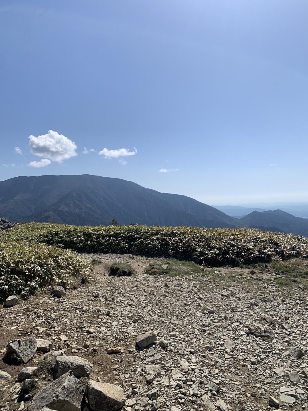 富士見台高原 / siroさんの恵那山・大判山・神坂山の活動データ | YAMAP / ヤマップ