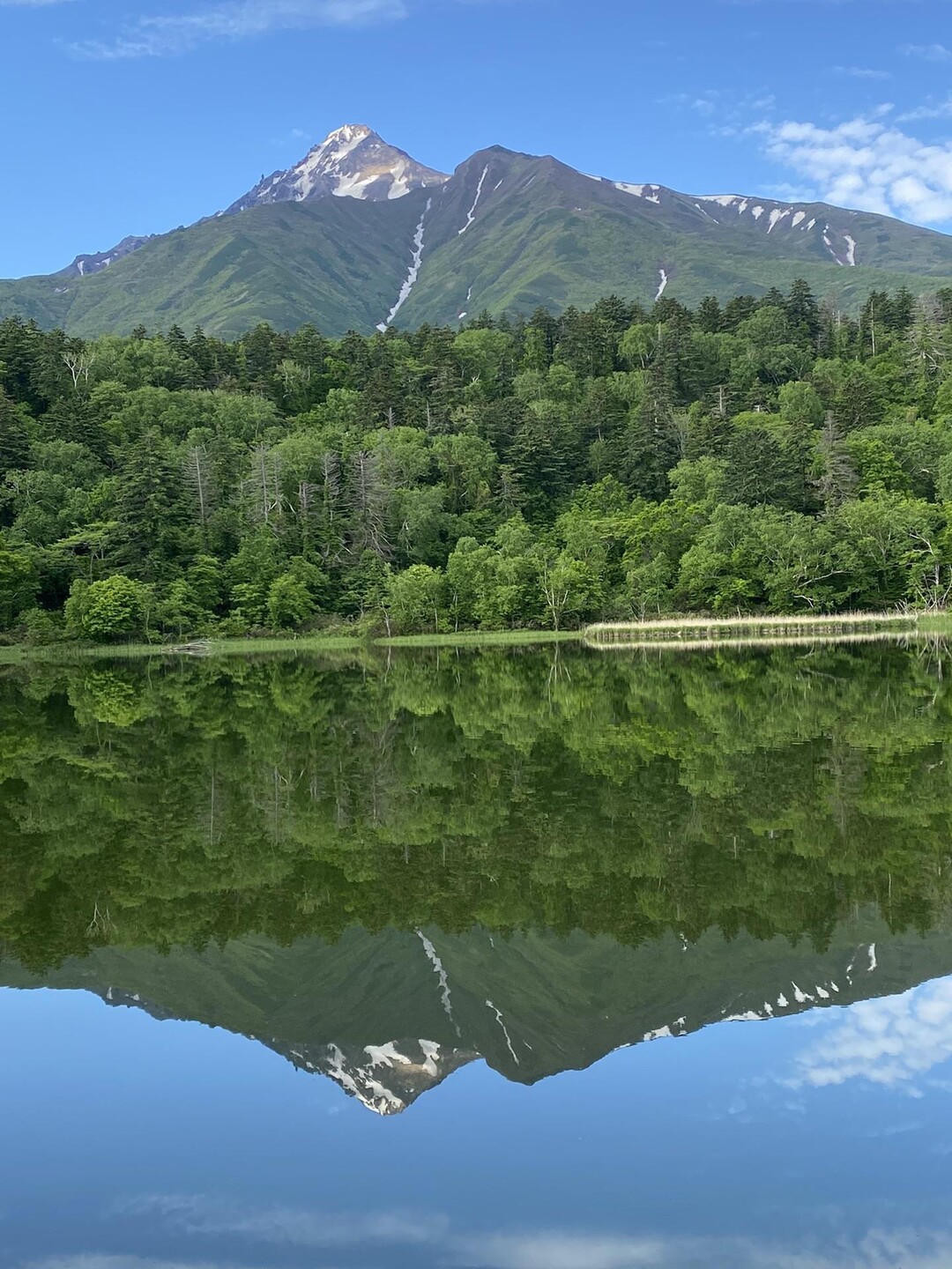 灯台山 / benchanさんの利尻山（利尻富士）の活動データ | YAMAP / ヤマップ