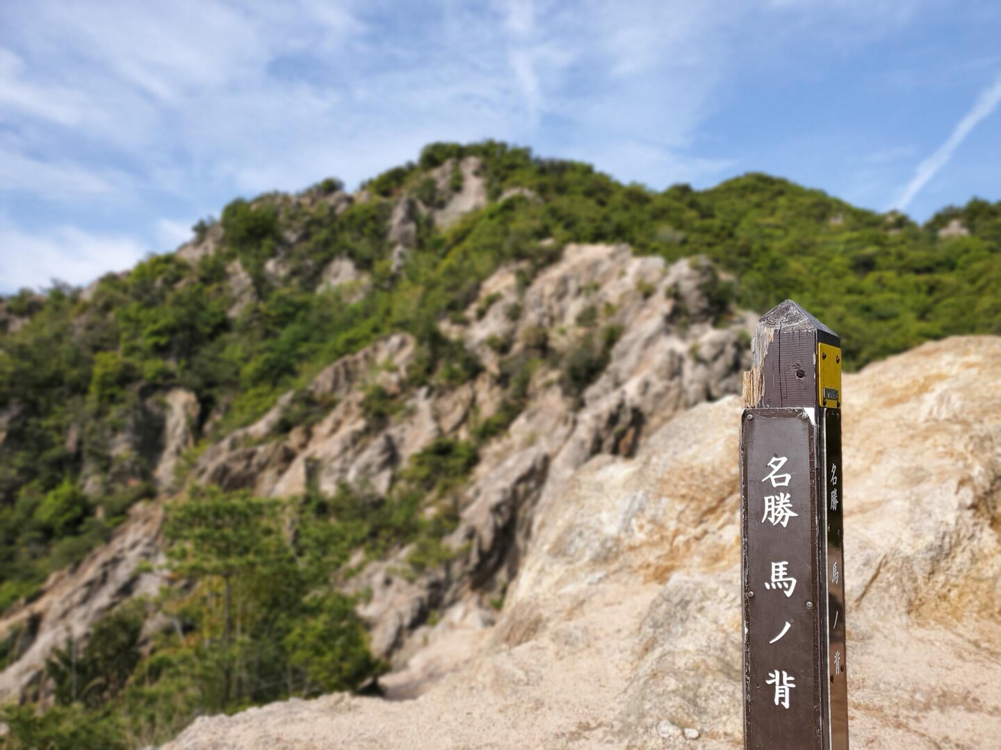 横尾山 馬の背 / m.t-another-kuさんの六甲山・長峰山・摩耶山の活動データ | YAMAP / ヤマップ