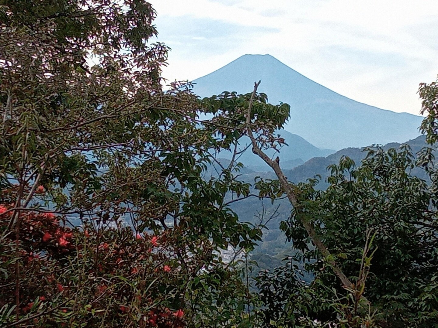 岩殿山・天神山 / yuzoさんの倉岳山・高畑山・九鬼山の活動データ | YAMAP / ヤマップ