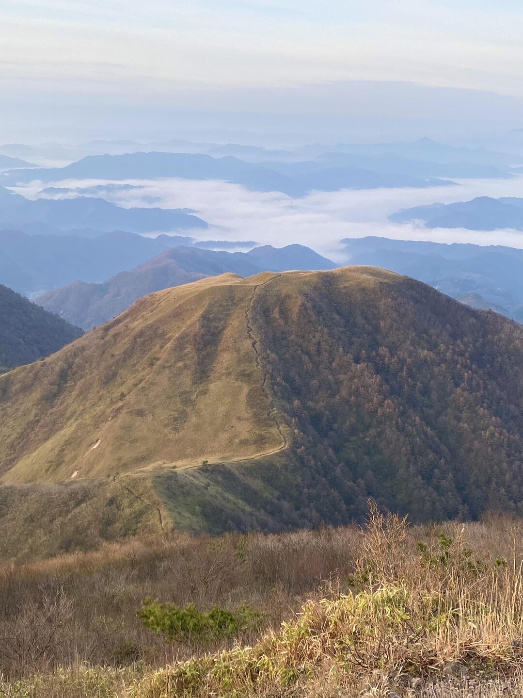 三瓶山 八の字お鉢巡り / YMTさんの三瓶山・大平山の活動データ | YAMAP / ヤマップ