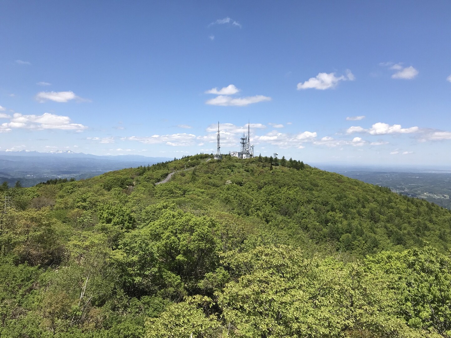折爪岳 / Sammyさんの折爪岳の活動データ | YAMAP / ヤマップ