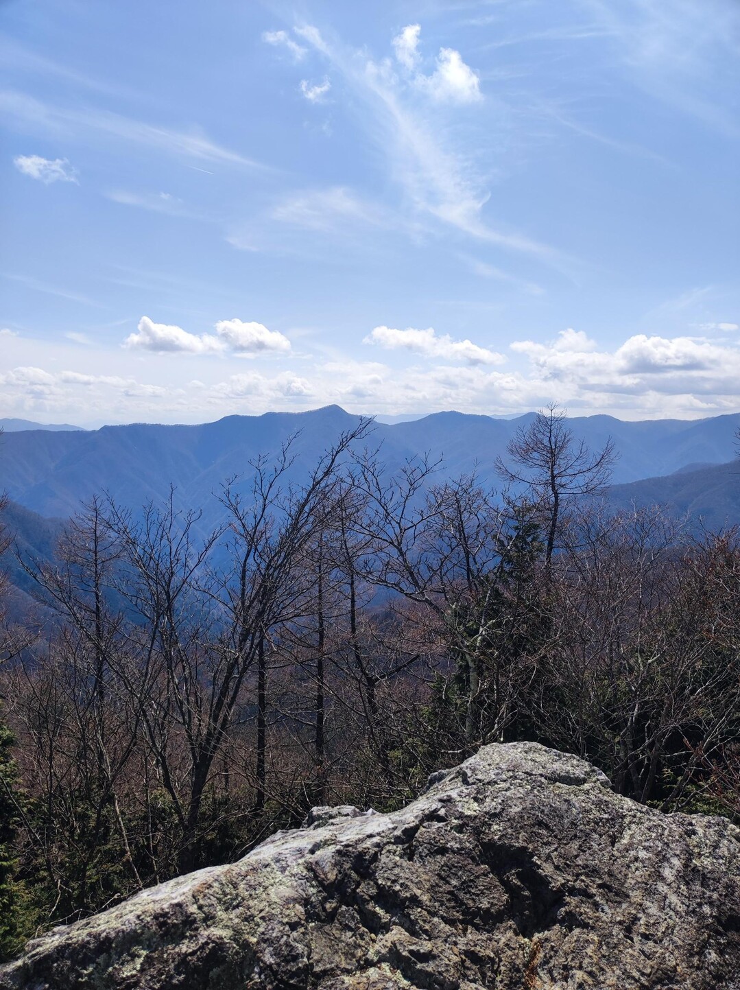 東日原BS発着〜天目山(三ツドッケ) ハナド岩 / ヴァンデレさんの雲取山・鷹ノ巣山・七ツ石山の活動データ | YAMAP / ヤマップ