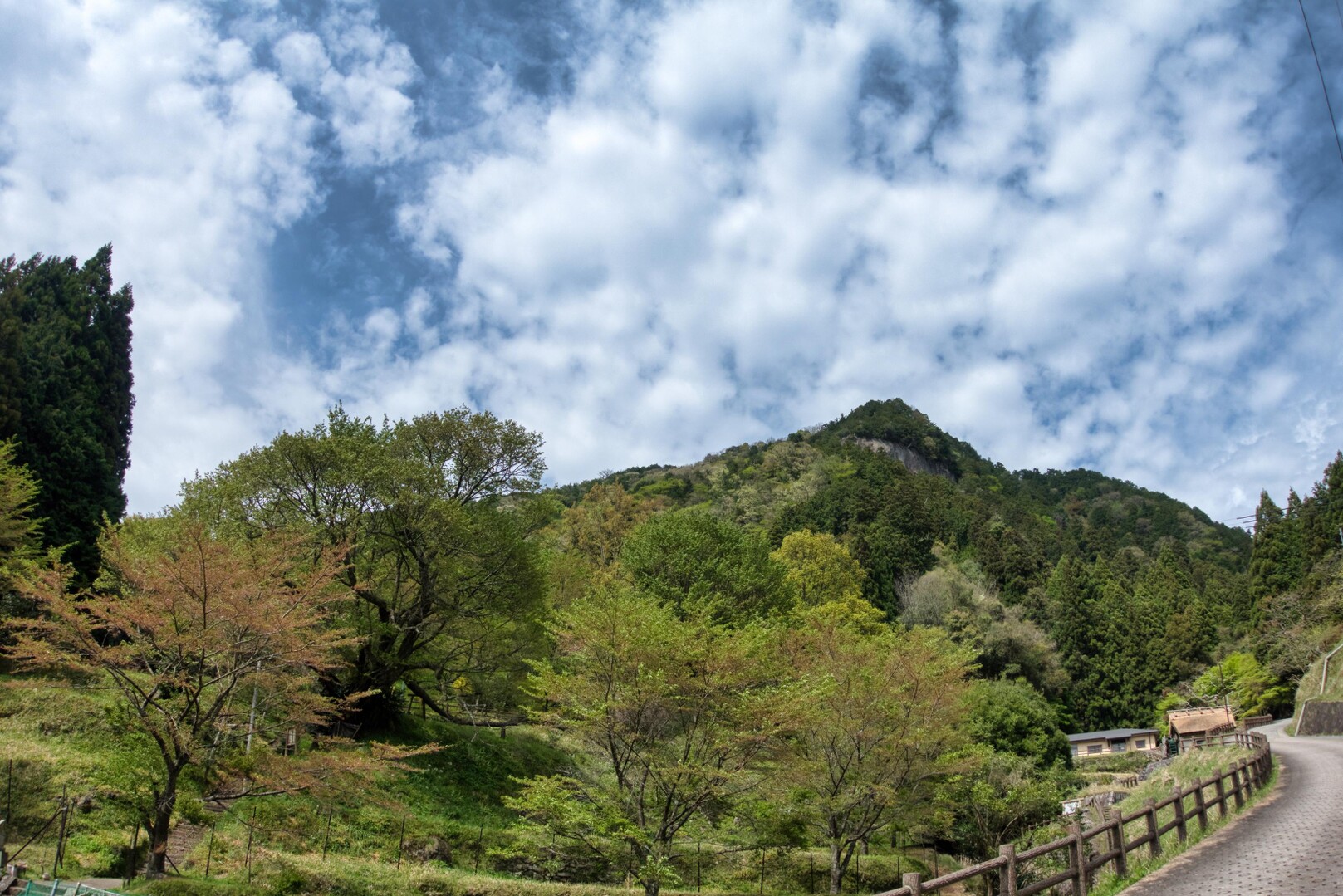 【奈百85】高峰山いくつあるねん？（高峰山-大平山周回） / persさんの三郎岳・高城岳の活動データ | YAMAP / ヤマップ