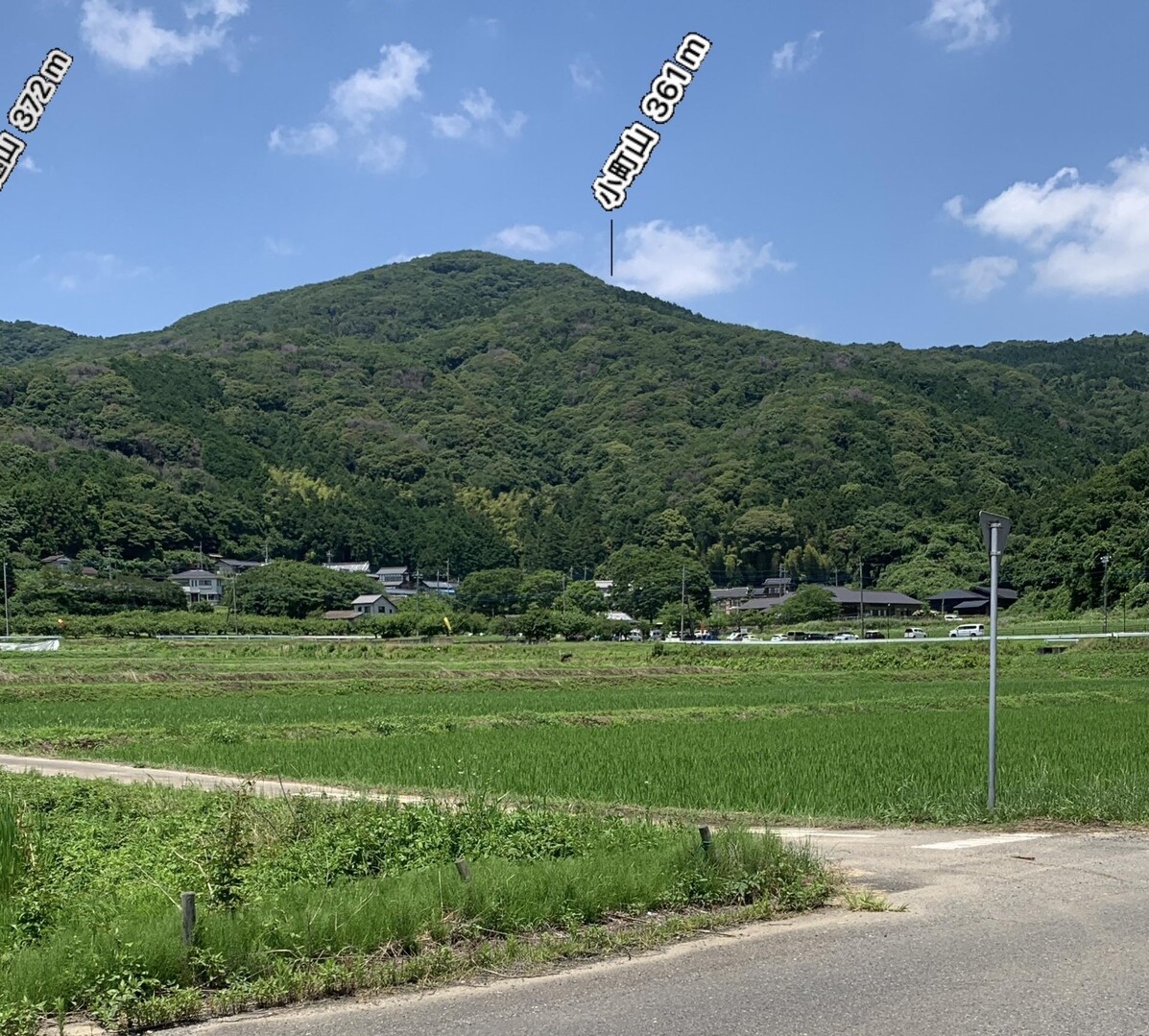 小町山 IX 2024_06_19 / tz_sskさんの宝篋山・富岡山の活動データ | YAMAP / ヤマップ