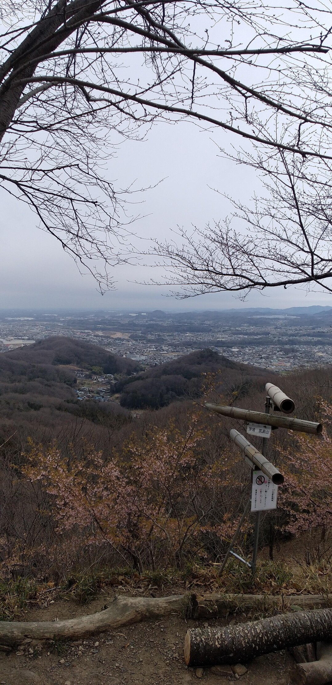 こんにちは(^O^)v 今日は、知人と近... / ユーザーathugiさんのモーメント | YAMAP / ヤマップ
