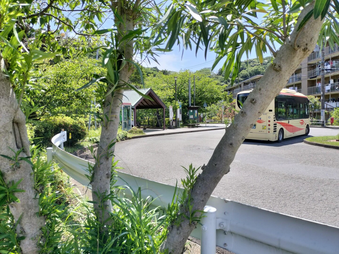 yusuke さんの投稿したフィールドメモ | YAMAP / ヤマップ