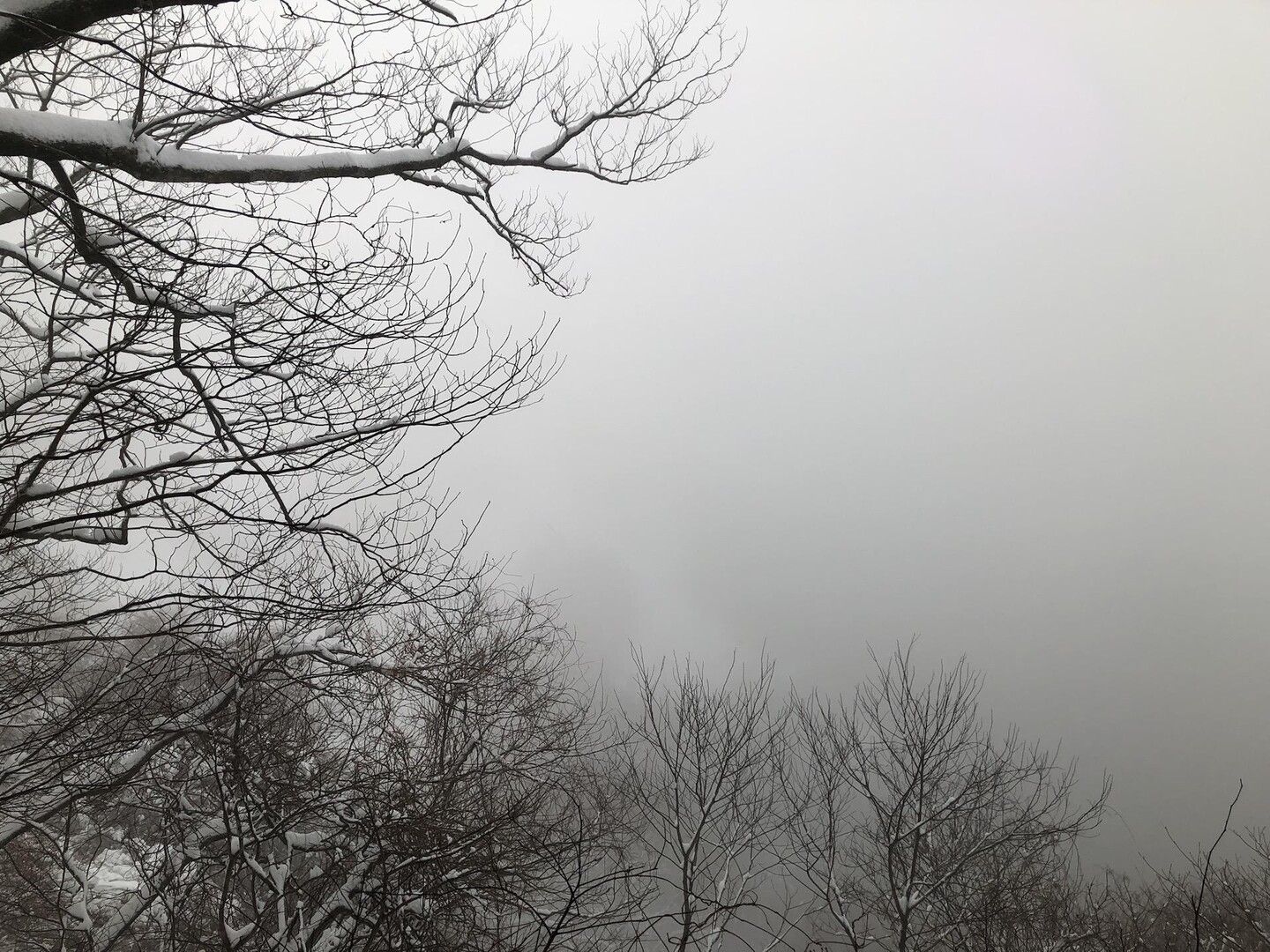 角田山（長者原山） / daidaiさんの角田山の活動データ | YAMAP / ヤマップ