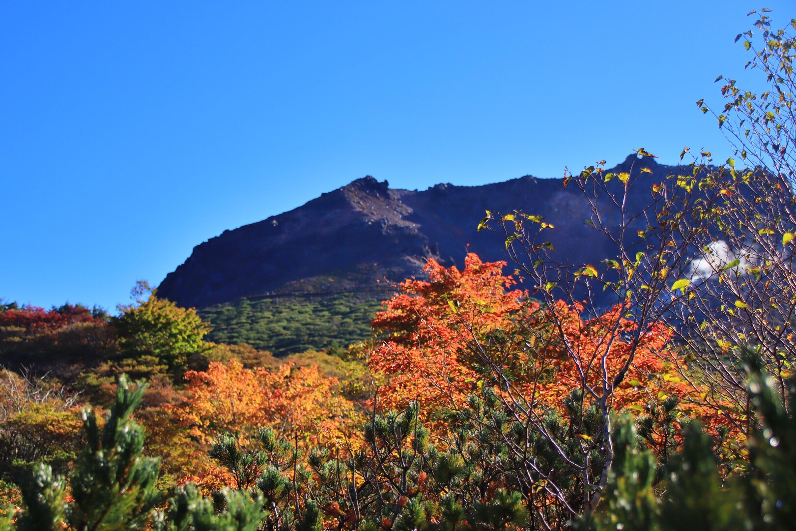 紅葉の姥ヶ平で熊🐻2頭とニアミス / t-yanさんの茶臼岳（那須岳）・三本槍岳・赤面山の活動データ | YAMAP / ヤマップ