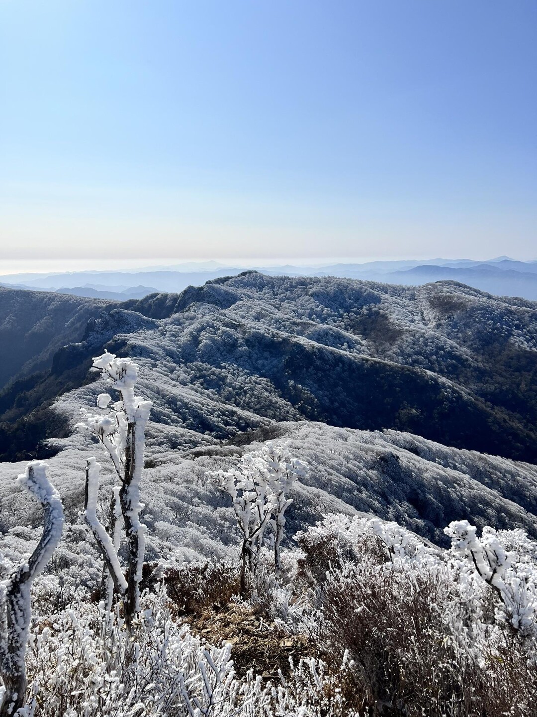 祖母山 / mimさんの祖母山の活動データ | YAMAP / ヤマップ