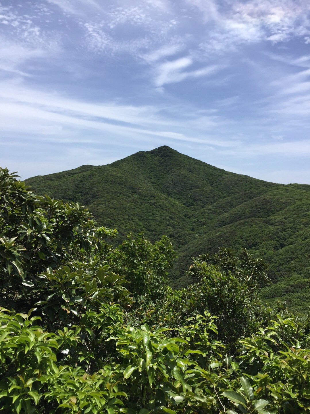 三瀬山・城ノ山・金山 / Tady さんの脊振山・金山の活動データ | YAMAP / ヤマップ