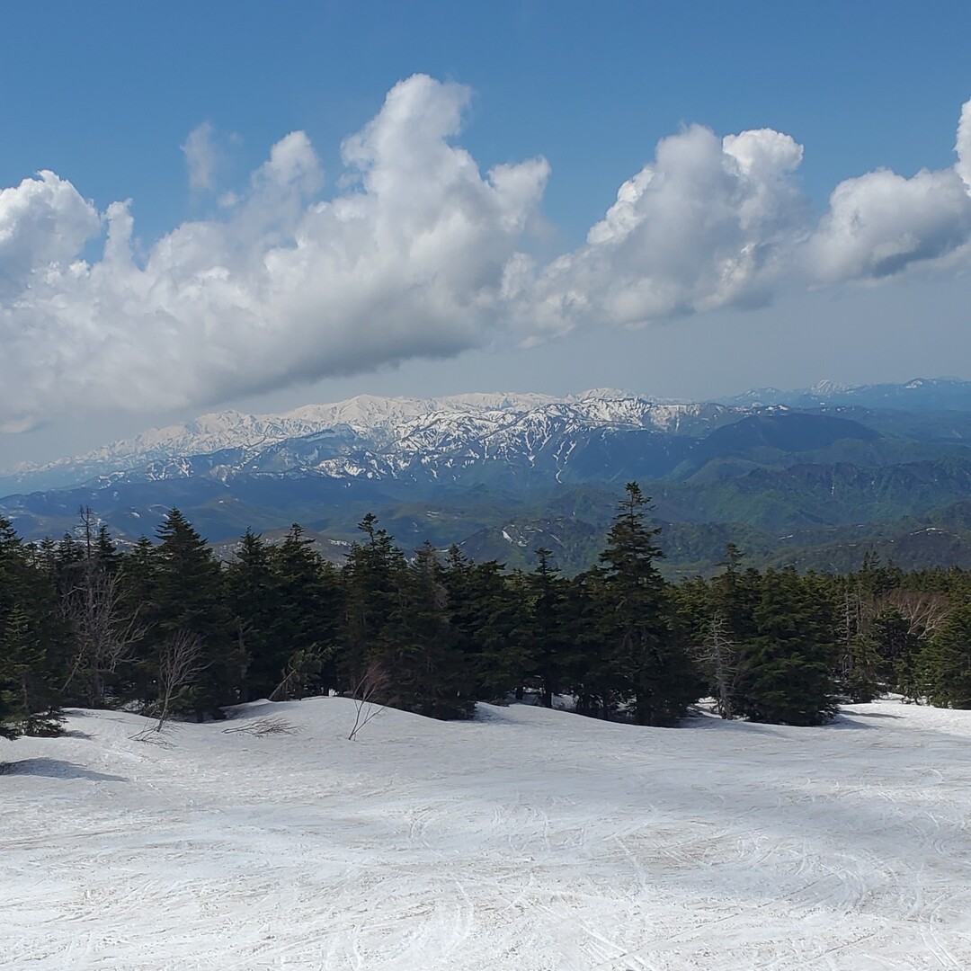 天元台 / vivanoriさんのモーメント | YAMAP / ヤマップ