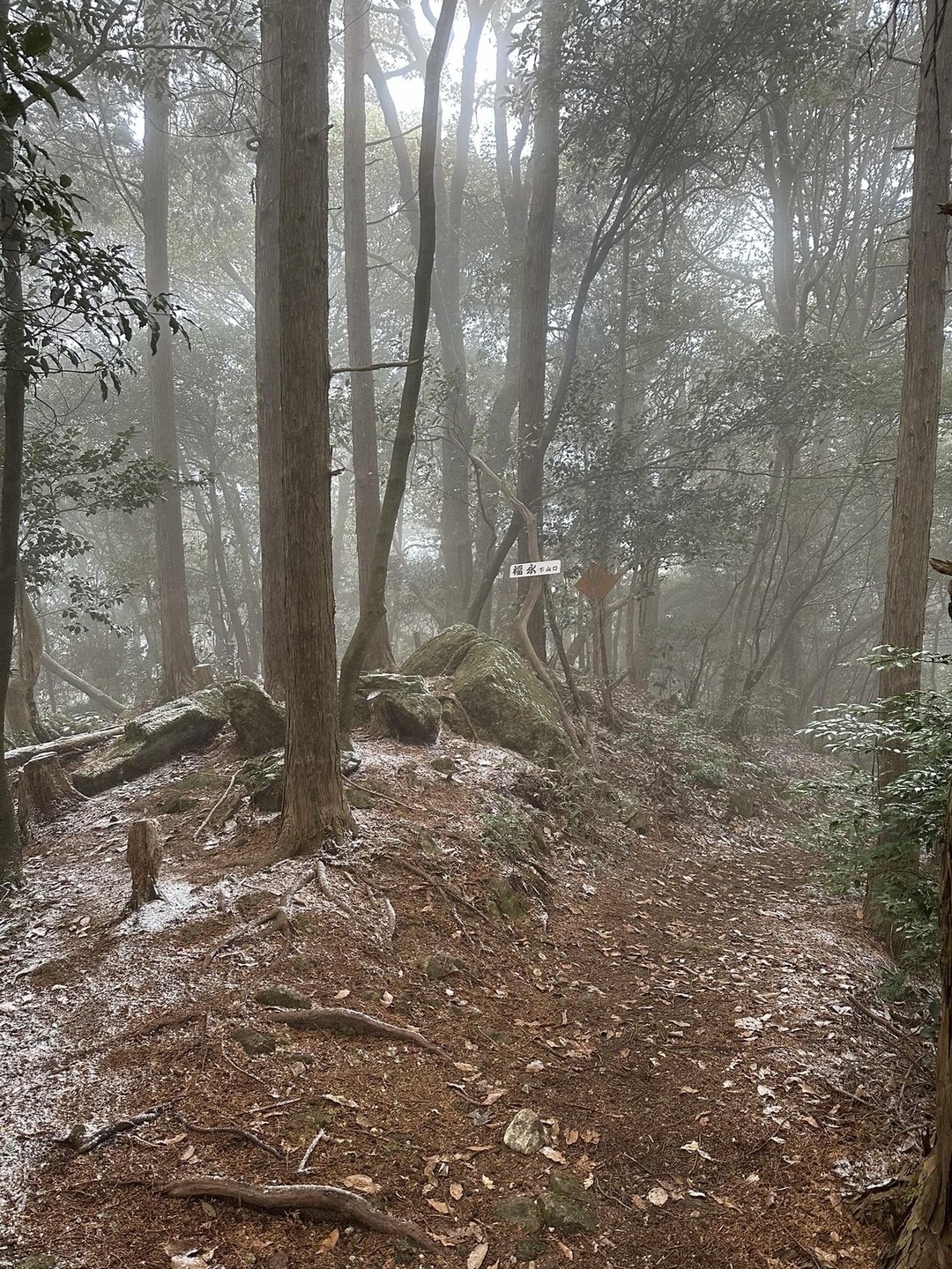 cookieさんの投稿したフィールドメモ | YAMAP / ヤマップ