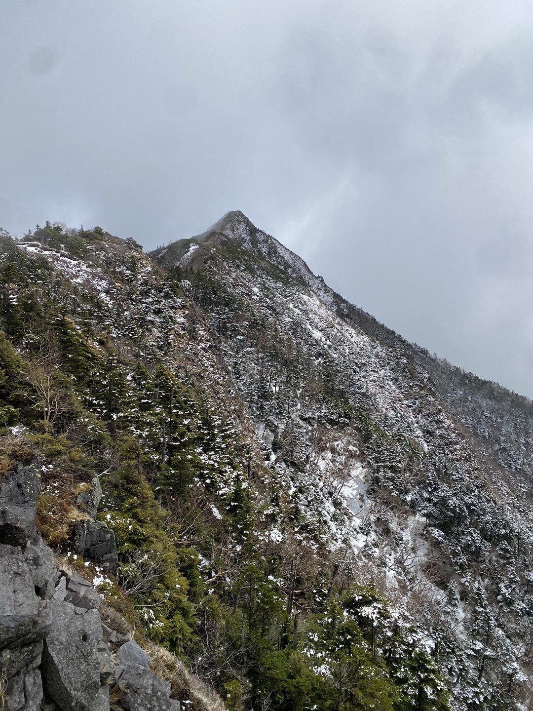 女峰山（専女山・帝釈山・赤薙山） / nachaさんの女峰山・赤薙山・大真名子山の活動データ | YAMAP / ヤマップ