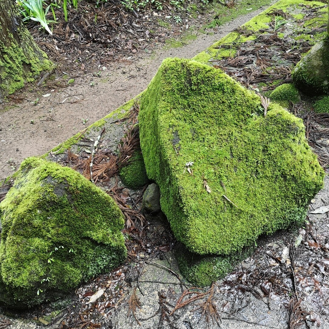 MU10のページ | YAMAP / ヤマップ