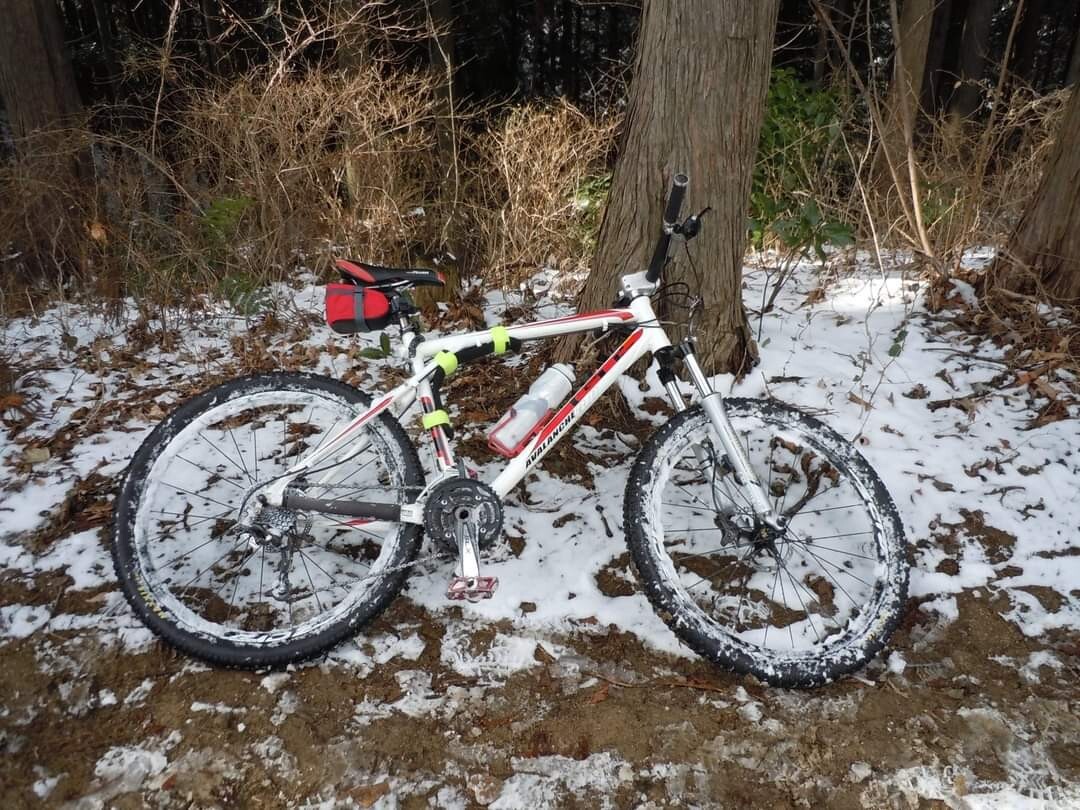 《My Bike》 08' GT Ava... / ヤタローさんのモーメント | YAMAP / ヤマップ