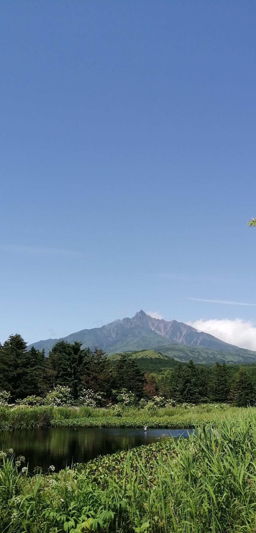 長官山・利尻山（利尻富士）〜利尻島は天気良し！⛅️ / nonnonさんの利尻山（利尻富士）の活動データ | YAMAP / ヤマップ