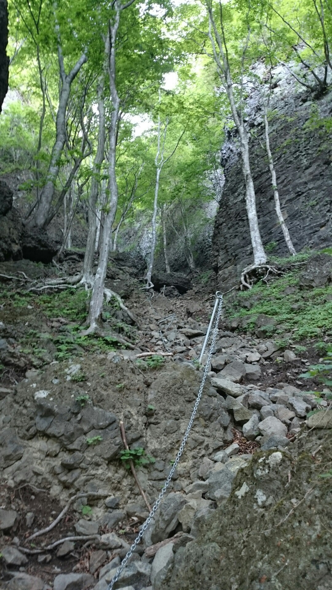 荒船山(経塚山)・荒船山 / Yu-sanさんの荒船山・物語山・大屋山の活動データ | YAMAP / ヤマップ