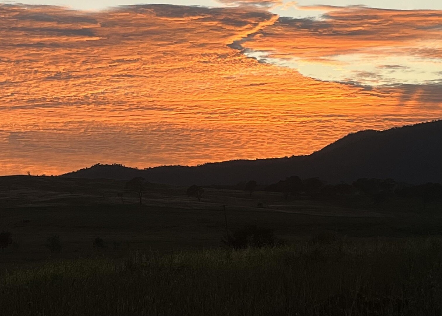 コジオスコ山🇦🇺 / Yusukeさんのコジオスコ山の活動日記へのコメント一覧 | YAMAP / ヤマップ
