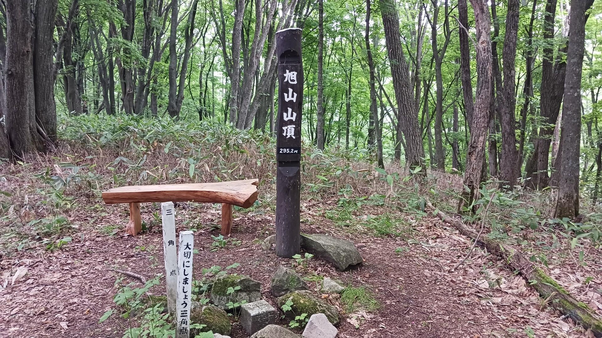 旭山 / gensanさんの旭山の活動データ | YAMAP / ヤマップ