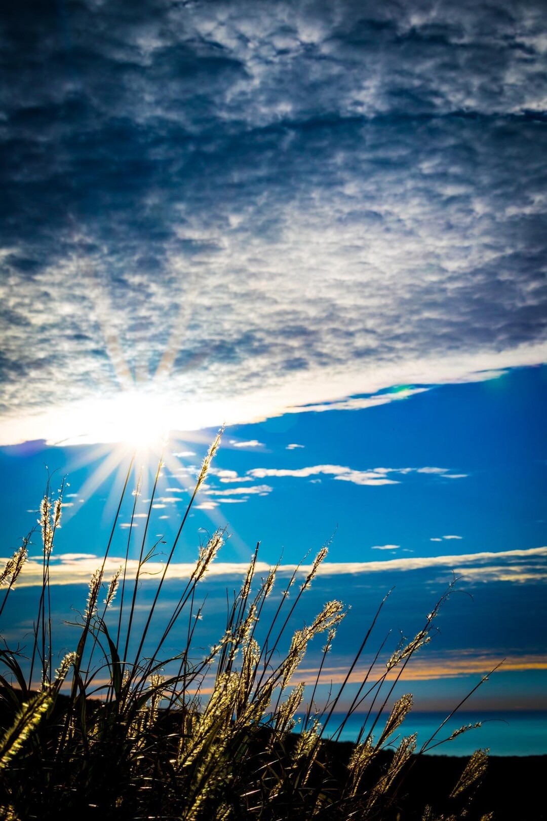 秋の久住山🌾 / Koki・Fさんの九重山（久住山）・大船山・星生山の活動データ | YAMAP / ヤマップ
