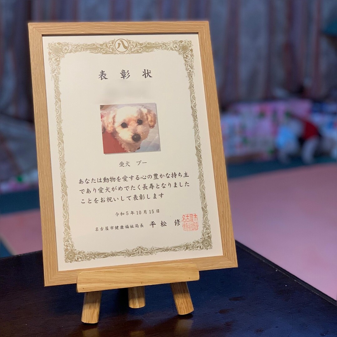 名古屋市から頂きました こういうの、とて... / Koro-Kenさんのモーメント | YAMAP / ヤマップ