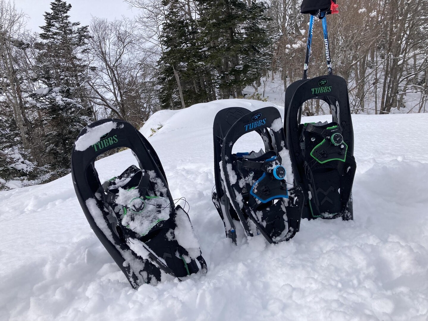 BIG 3の冒険☀️ 栗山天狗山 / 暇親爺さんの雨霧山の活動データ | YAMAP / ヤマップ