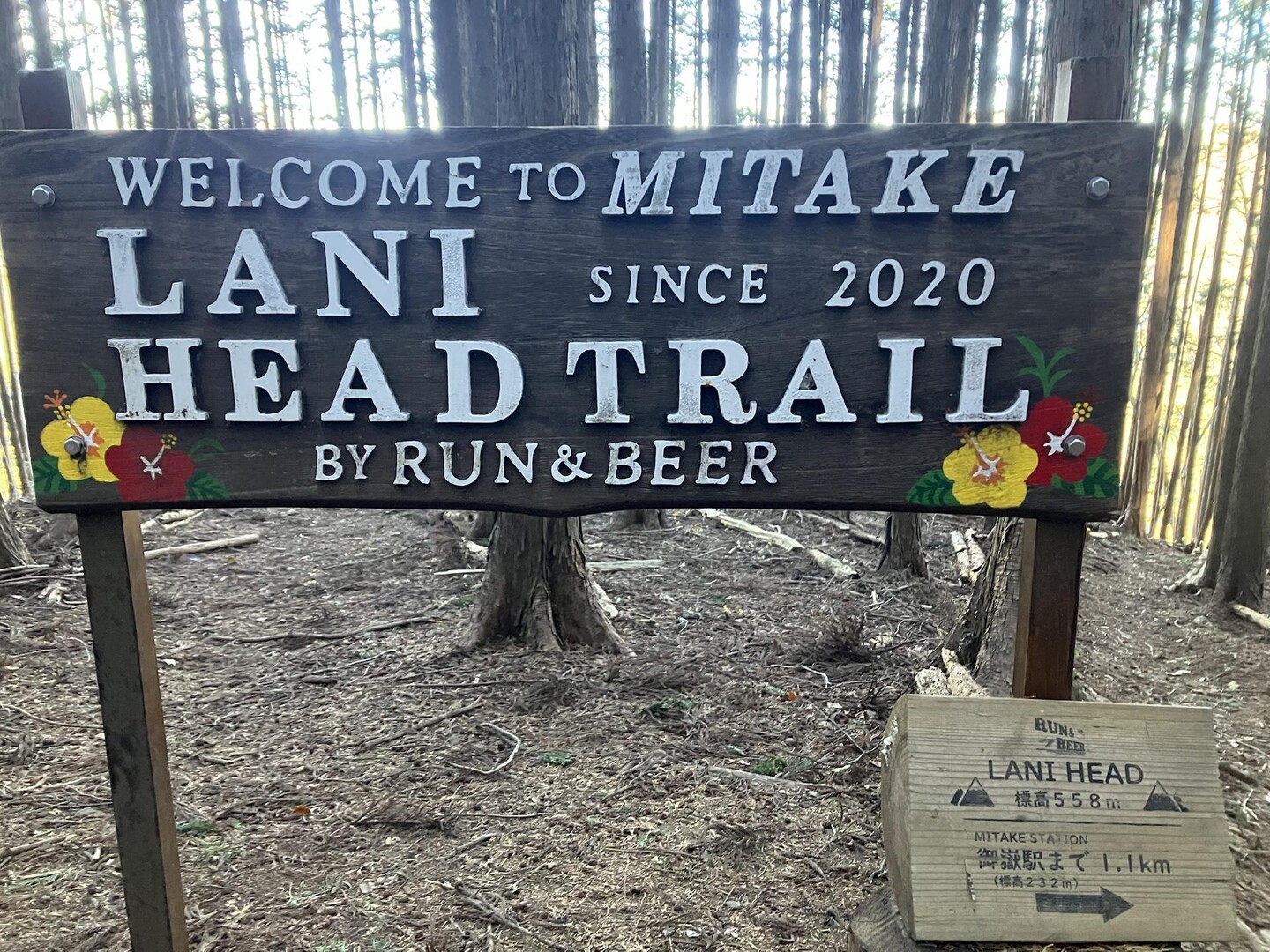 自分をもてなす日 / 山猫のらさんの大岳山・御岳山・御前山の活動日記 | YAMAP / ヤマップ