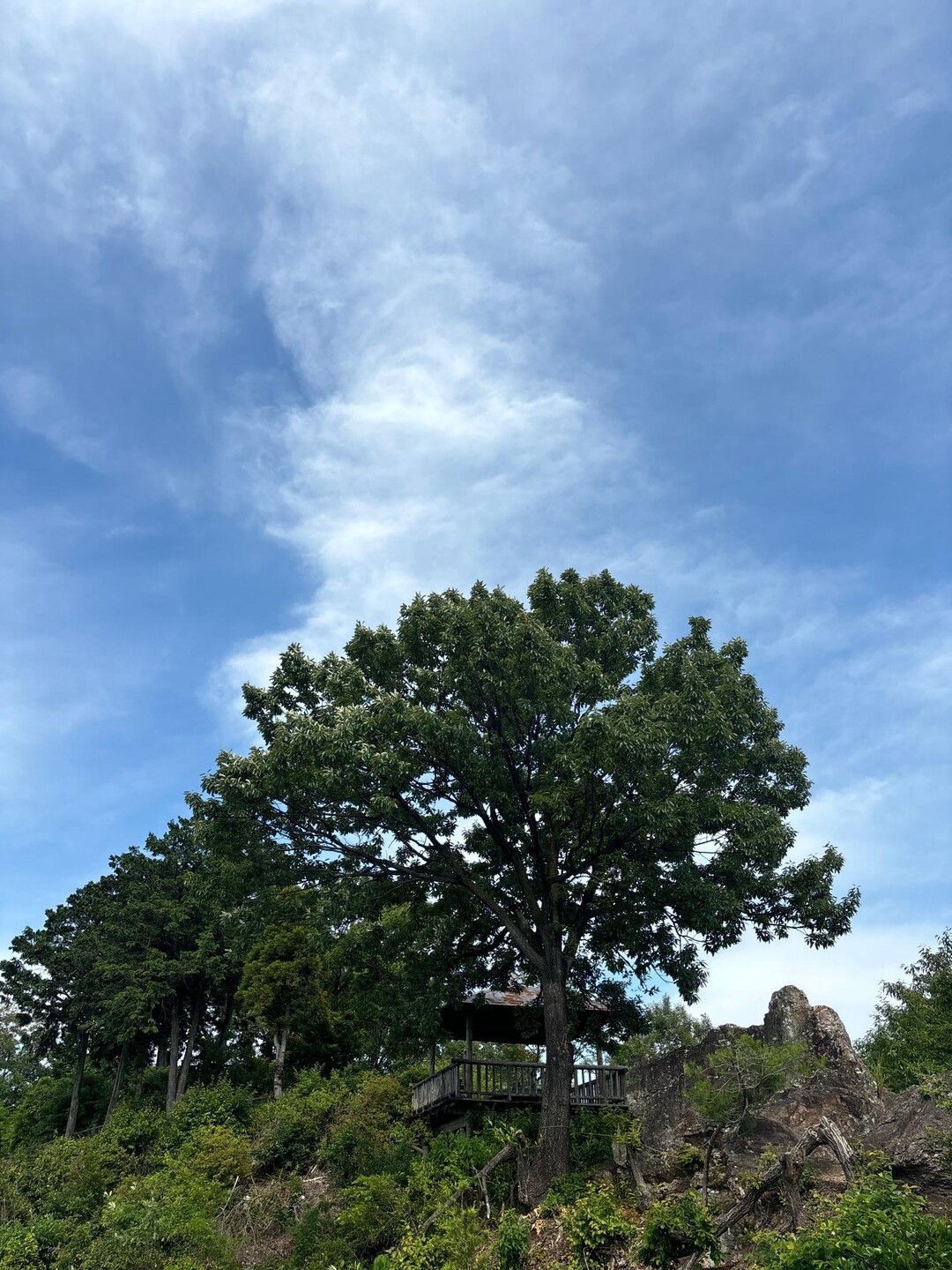 三井山 / jinisanさんの三井山の活動データ | YAMAP / ヤマップ