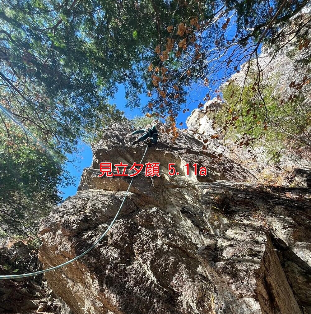 小川山 エビのシッポと屋根岩3峰西面 ㊗イレブン200本㊗🎉 / めざせ200イレブンさんのクライミングの活動日記 | YAMAP / ヤマップ