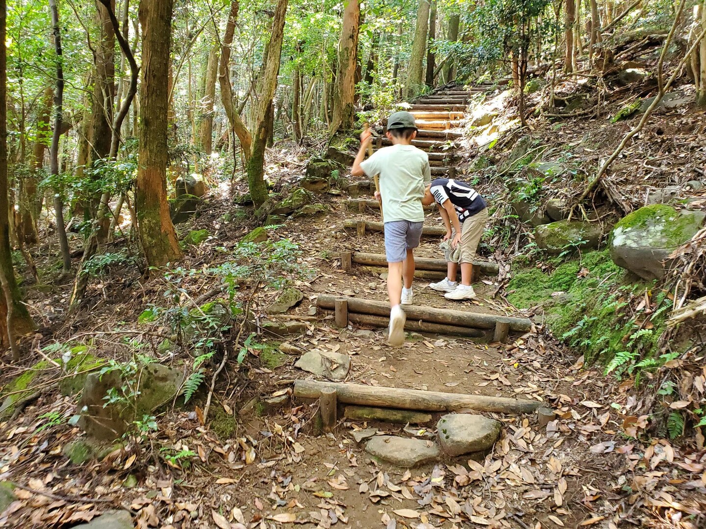 八重山 / gg505さんの八重山・鷹ノ子岳の活動データ | YAMAP / ヤマップ