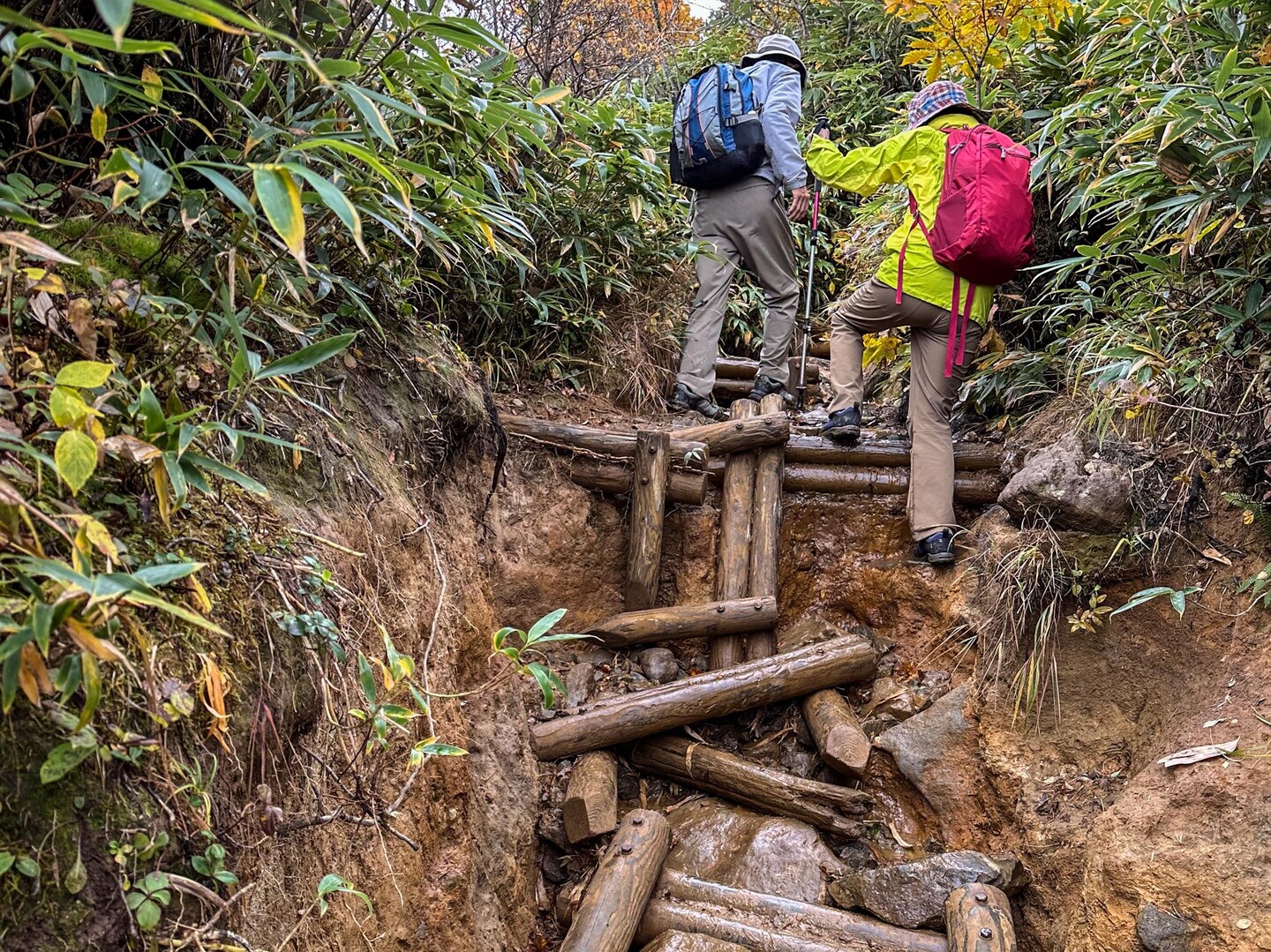 登山道を守る人を応援する」プロジェク... / Adatara Azuma Nature Centerさんのモーメント | YAMAP / ヤマップ