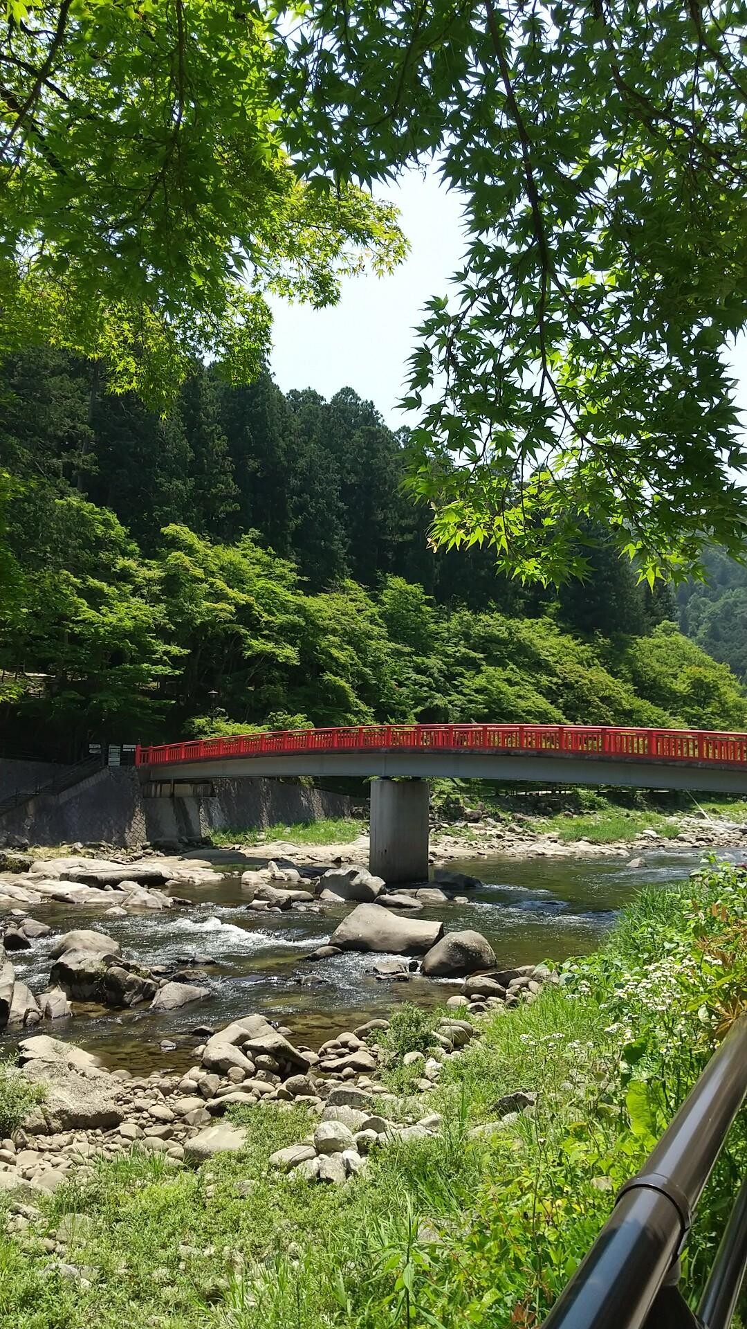 (138)飯盛山1(山頂は快適爽風・里は33℃) / Kazz1950さんの黍生・飯盛山・真弓山の活動データ | YAMAP / ヤマップ