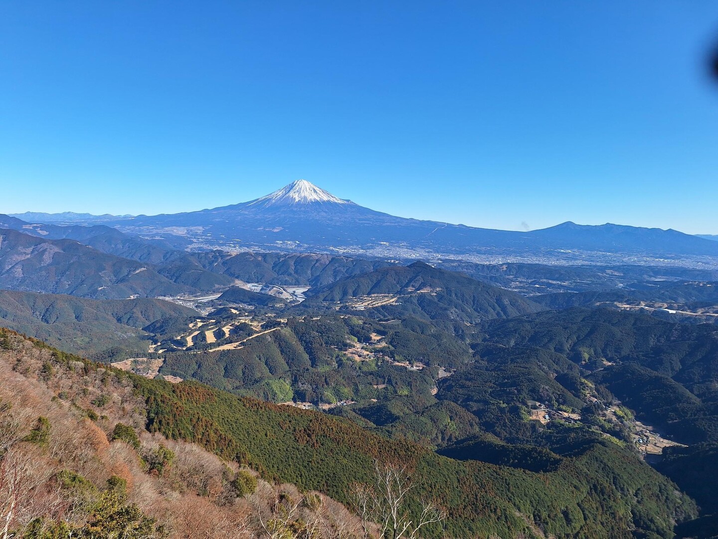 貫ヶ岳 / syo-zoさんの貫ヶ岳・高ドッキョウの活動データ | YAMAP / ヤマップ
