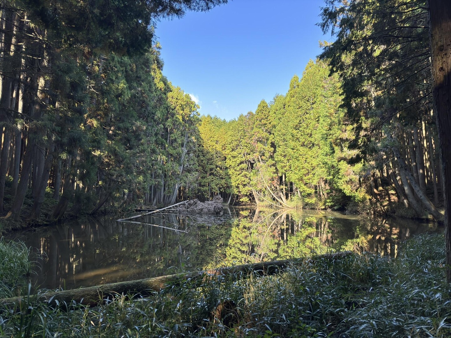 Nさんの投稿したフィールドメモ | YAMAP / ヤマップ