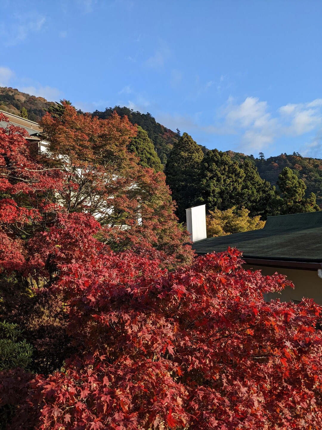 大山 / tosiさんの大山の活動データ | YAMAP / ヤマップ