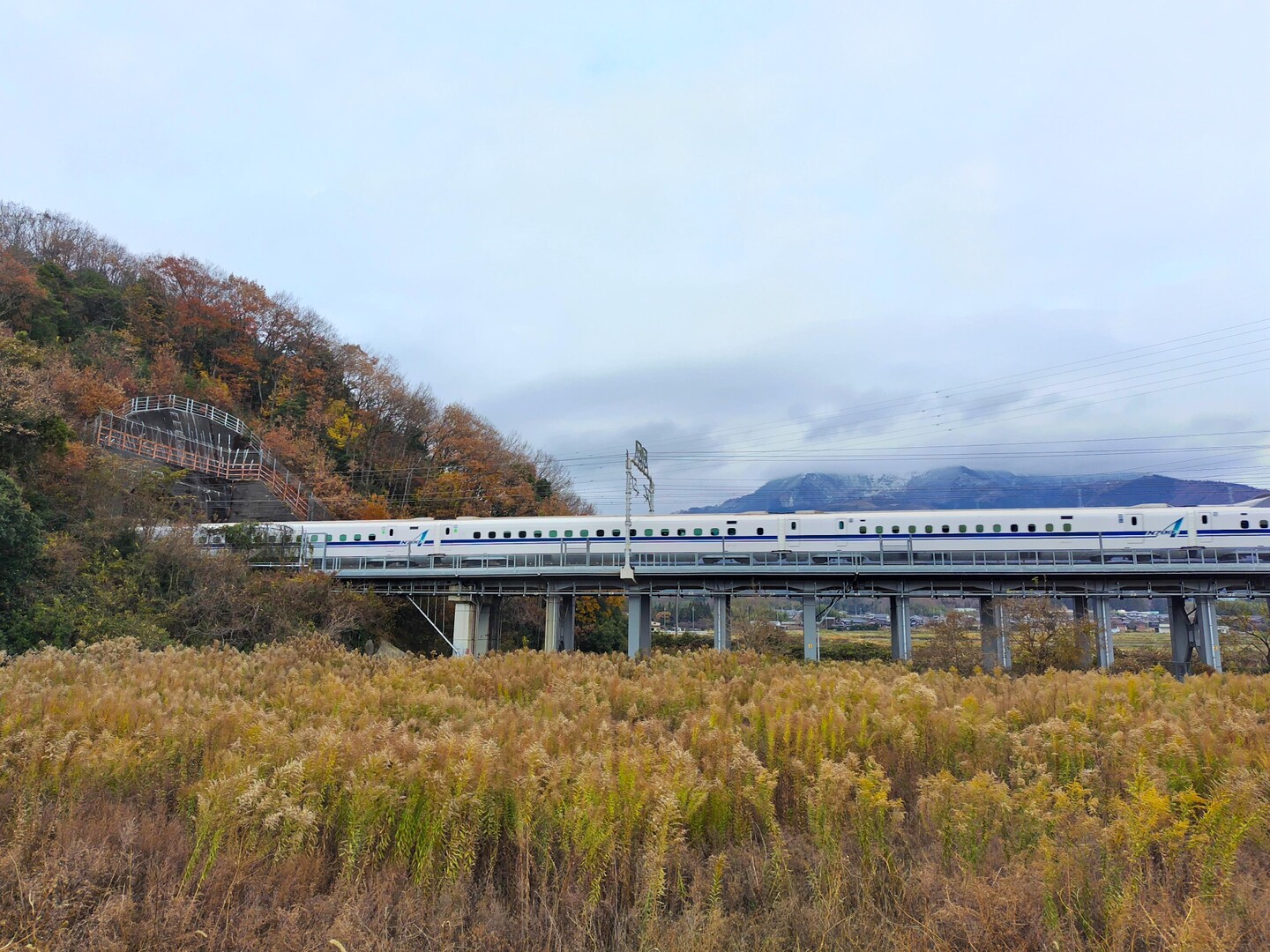 琴岡山・油里山・源氏山 / TOMTOMさんの鳥羽上山・横山の活動データ | YAMAP / ヤマップ