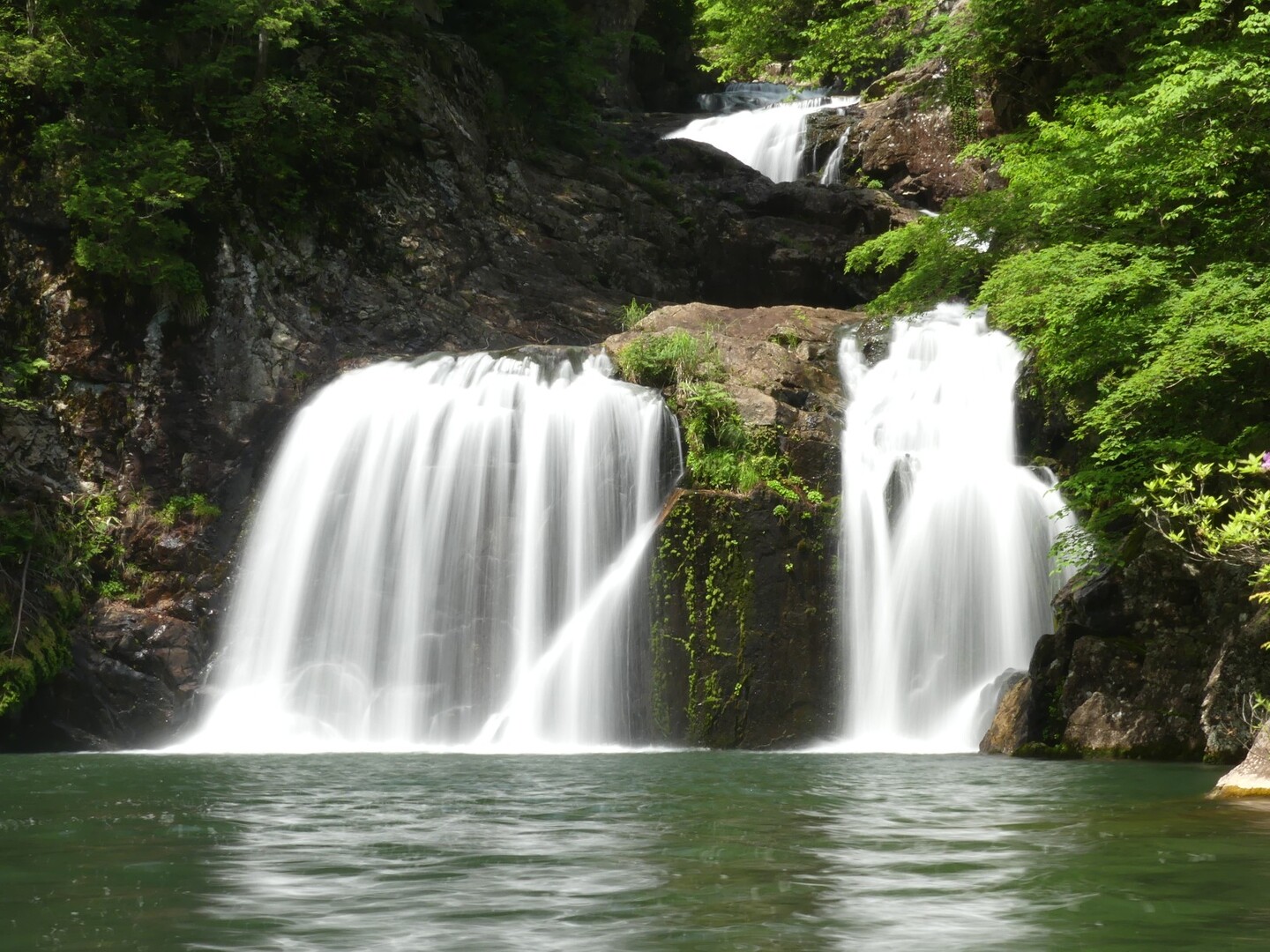聖山・高岳🌿 / KAZU3さんの聖山・高岳の活動データ | YAMAP / ヤマップ