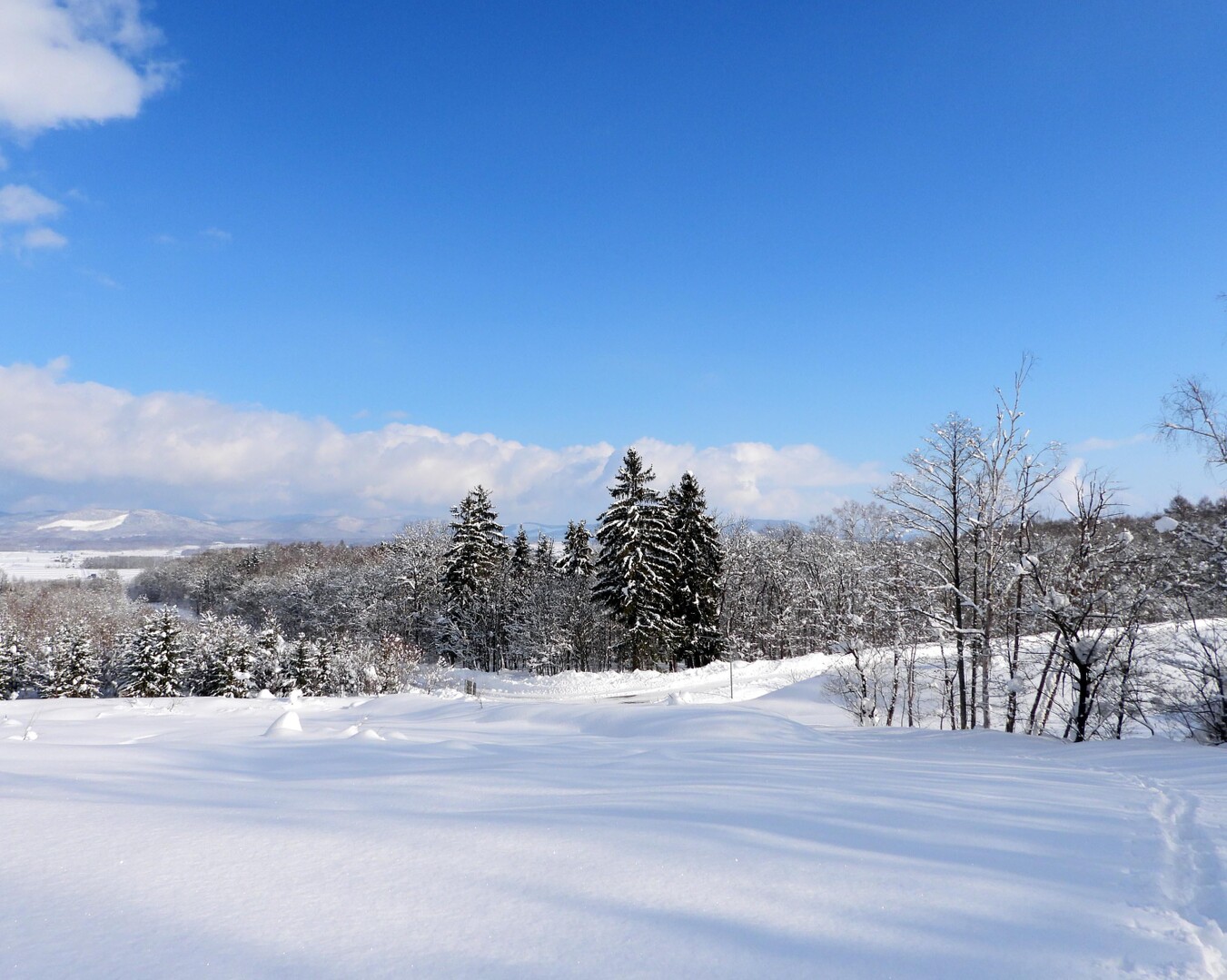 シーキウシュナイ山で整う(長い話シリーズ⑥) / pon(夫) ＆ 連れ(妻)さんの旭川市の活動データ | YAMAP / ヤマップ
