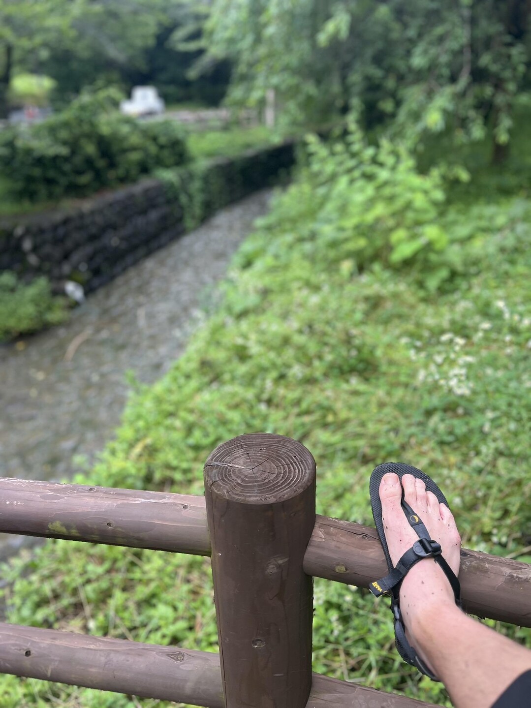 初タッタ10kコース試走🩴 / hiroさんの立田山の活動データ | YAMAP / ヤマップ