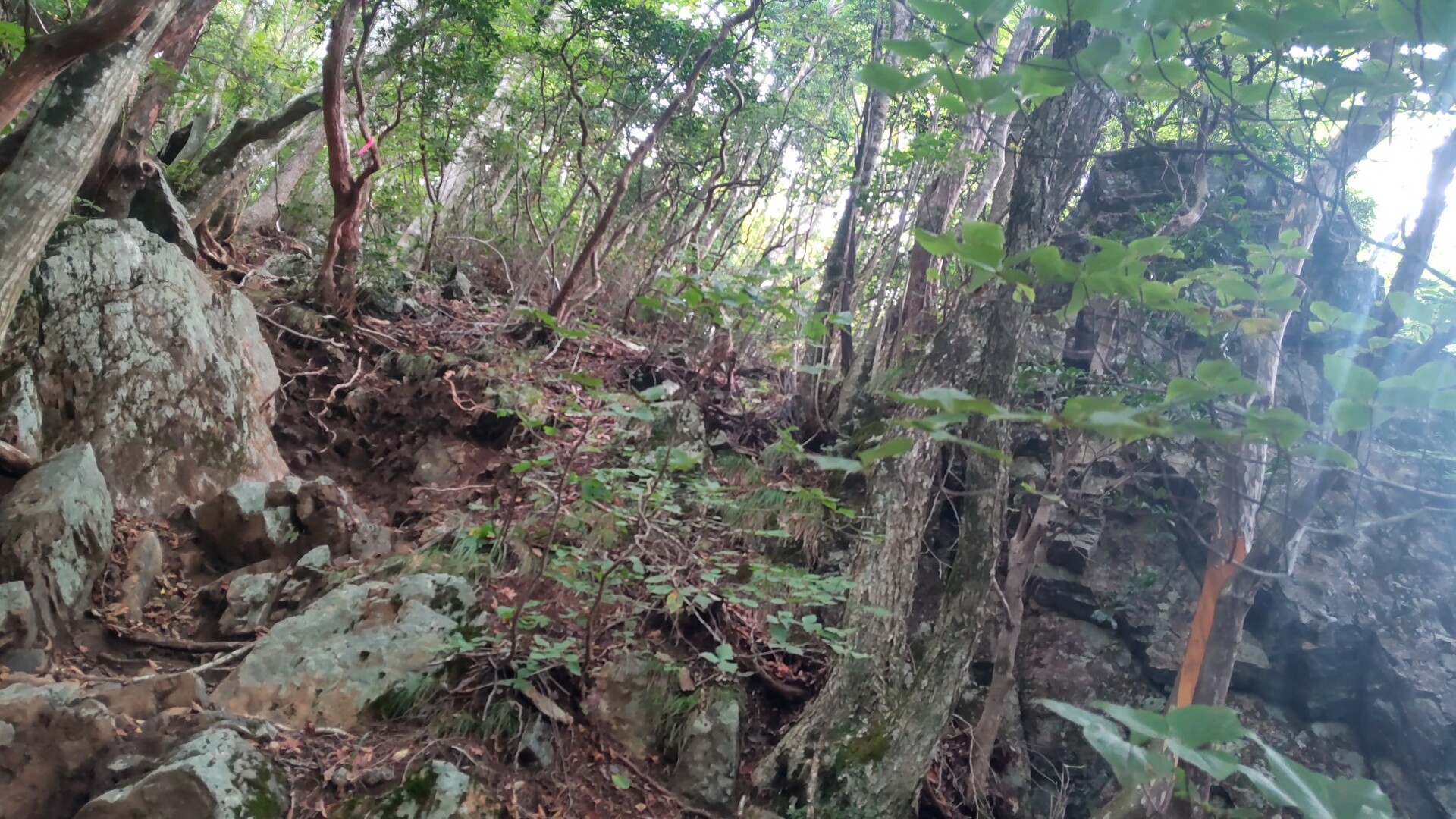 JUNさんの投稿したフィールドメモ | YAMAP / ヤマップ