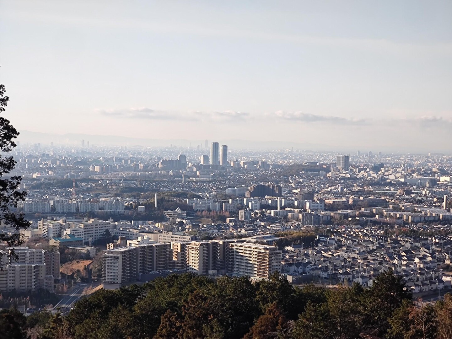 鉢伏山 / Satoshiさんの竜王山・阿武山の活動データ | YAMAP / ヤマップ