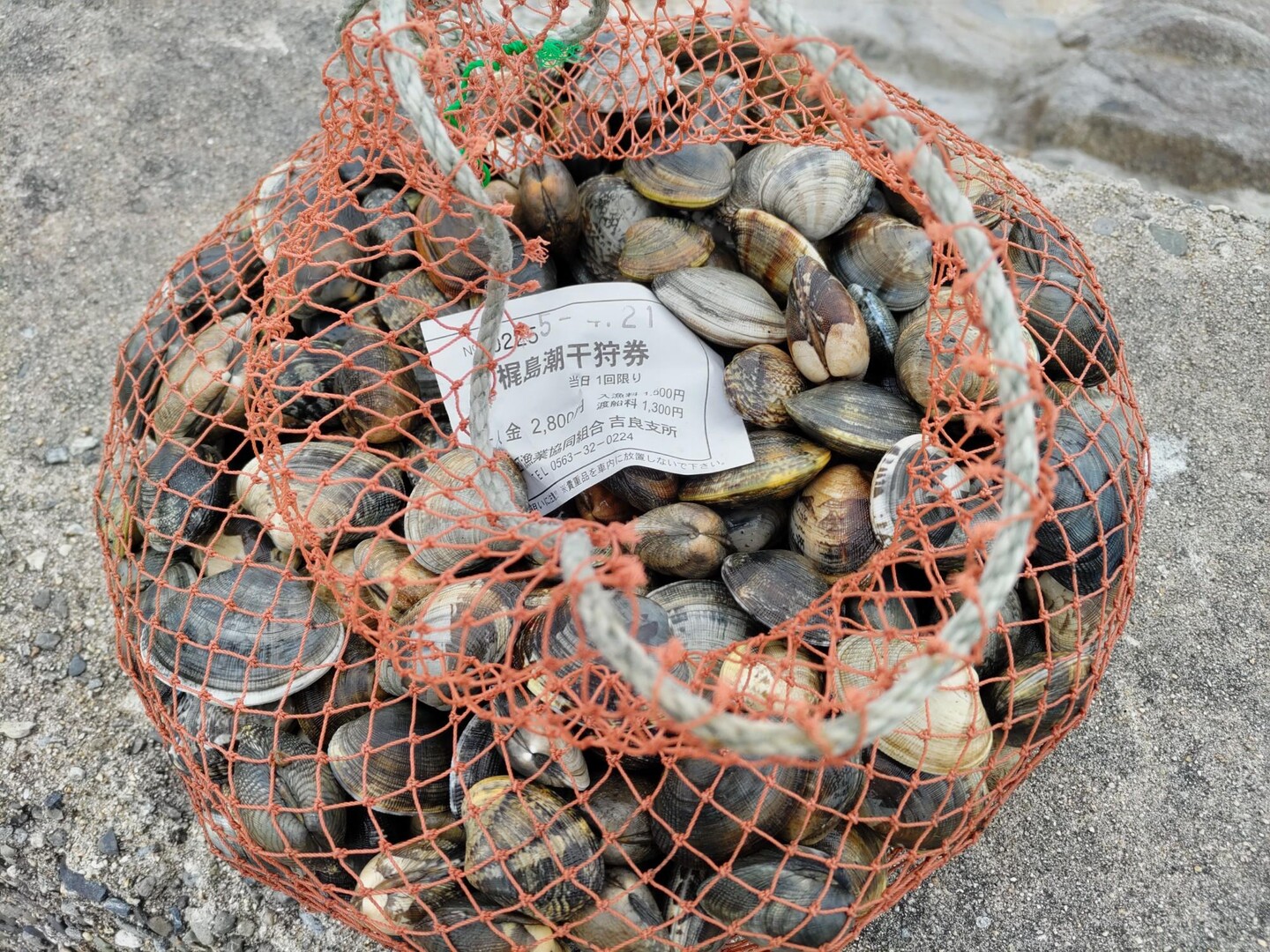 今日は、梶島に会社のOBの方と毎年恒例の... / うめ金さんのモーメント | YAMAP / ヤマップ