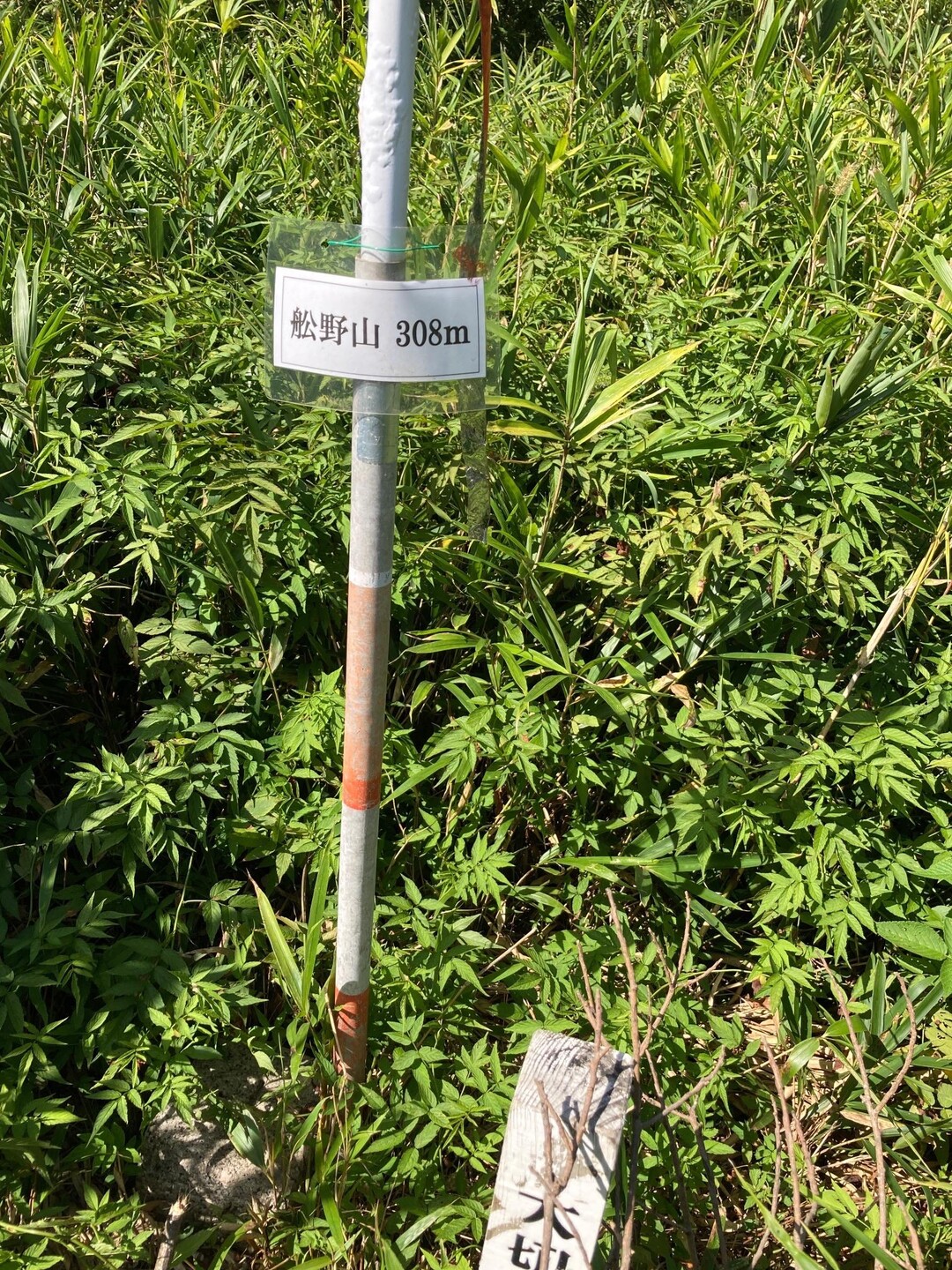 船野山 / IMATさんの飯田山の活動データ | YAMAP / ヤマップ