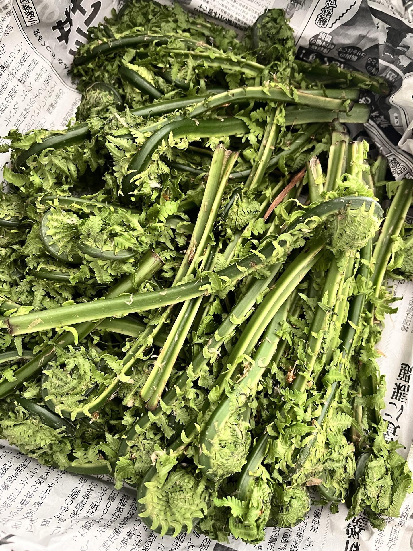 相変わらず遠洋漁師のような生活をしている... / junnnnさんのモーメント | YAMAP / ヤマップ