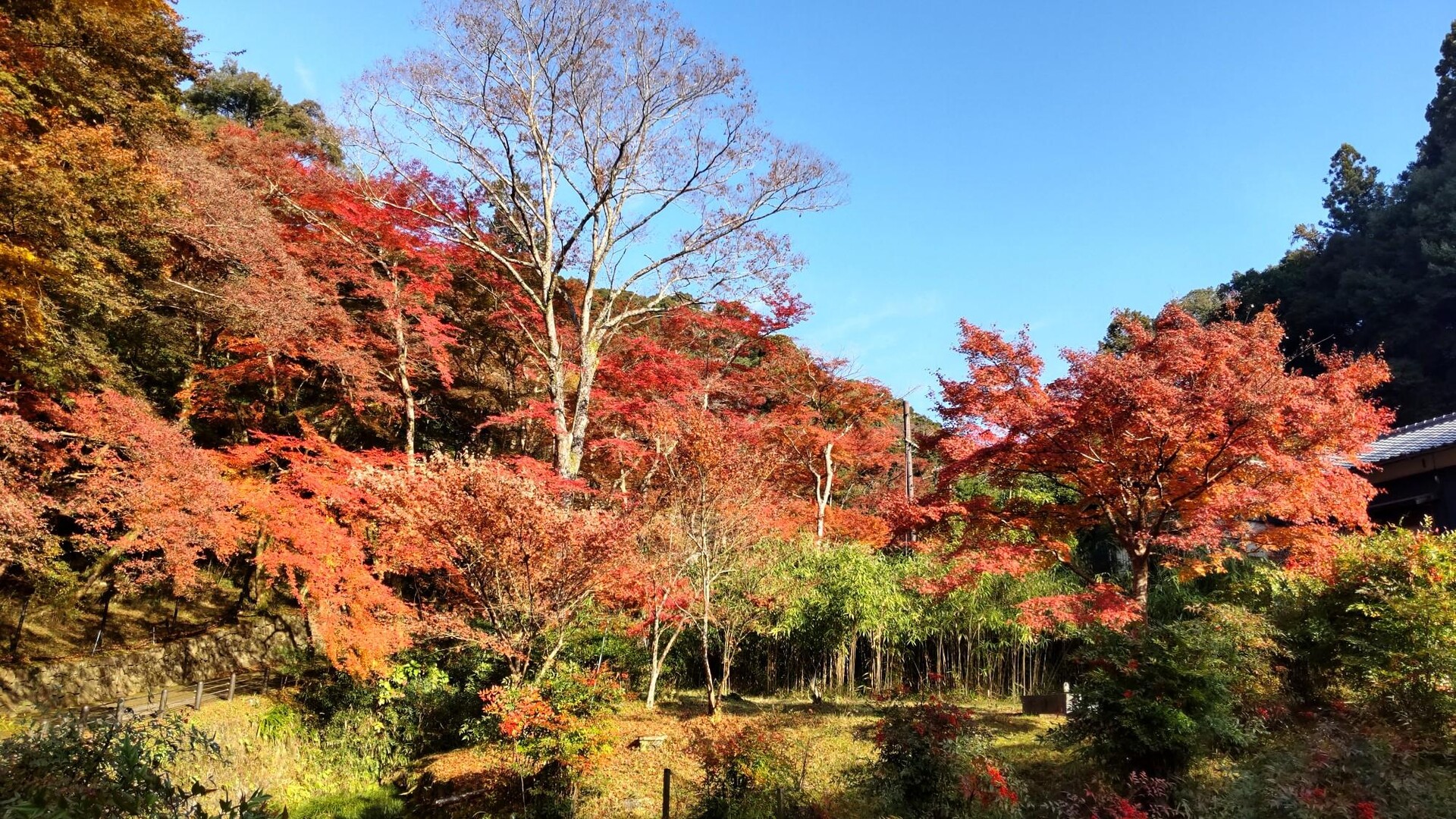 正暦寺 再び / Kobotさんの奈良市（東エリア）の活動データ | YAMAP / ヤマップ