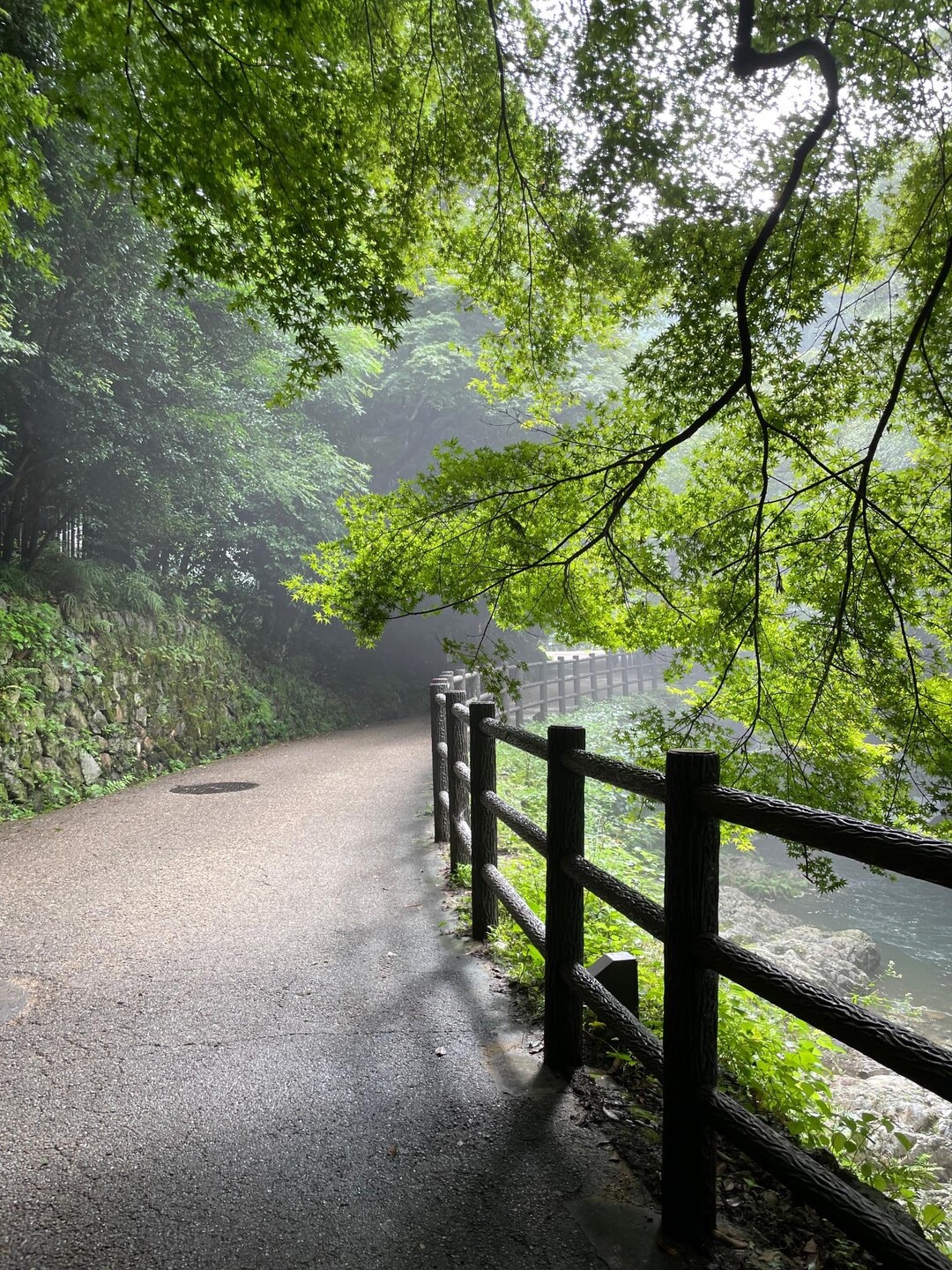 滝道ウォーキング-2024-07-03 / Yamasanさんのウォーキングの活動データ | YAMAP / ヤマップ